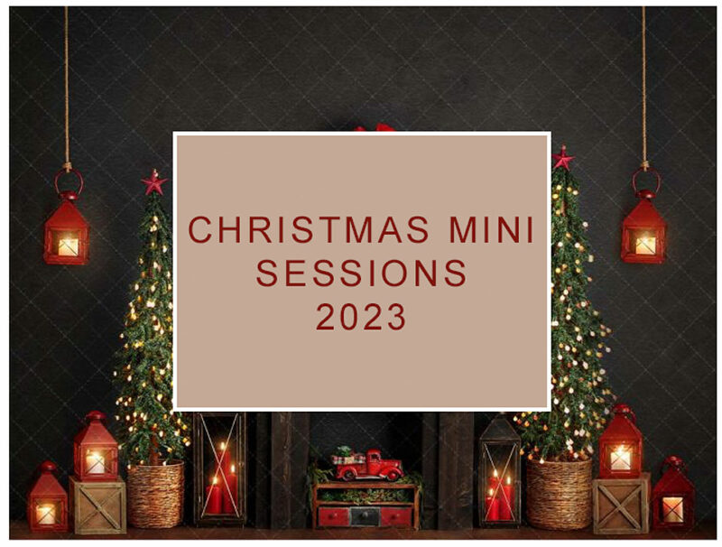 Christmas mini | Melissa Alagich Photography
